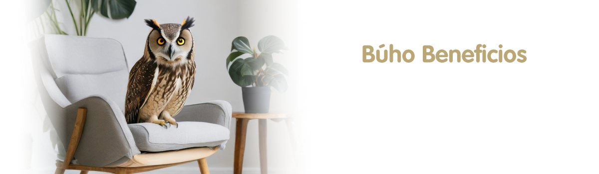 Búho Inversor - Banco Hipotecario